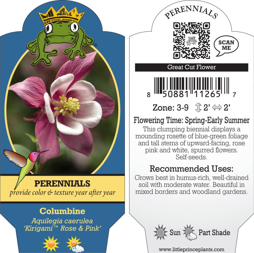Aquilegia caerulea 'Kirigami™ Rose & Pink' - Columbine (4" Pot ...