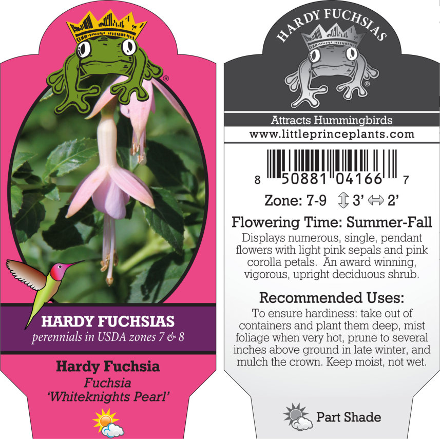 Fuchsia 'Whiteknight's Pearl - Hardy Fuchsia (#1 Round) | Little Prince ...