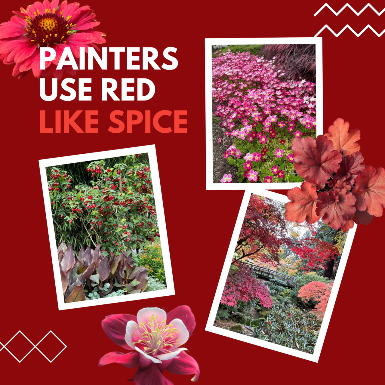 Red Foliage Plants: Grow Like Mike